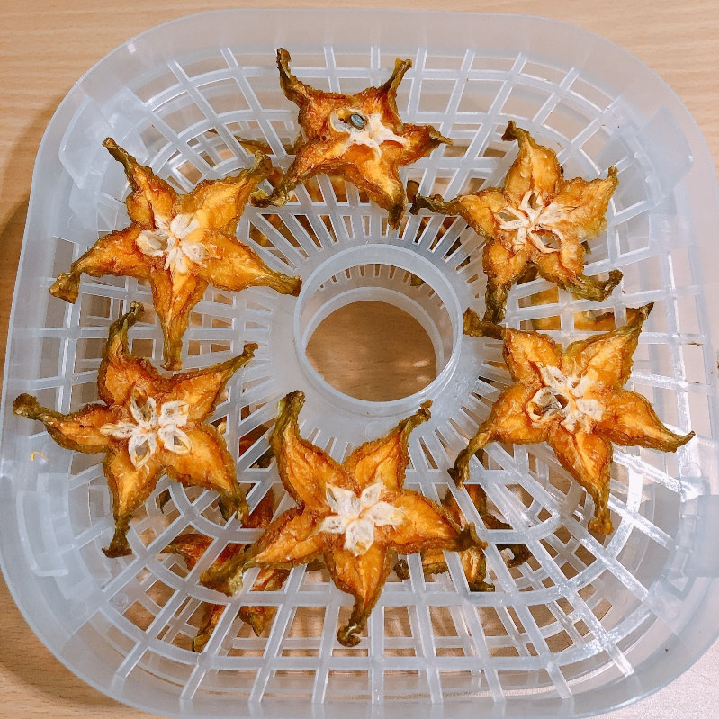 Dried Starfruit - Food Drying : The Process of Dehydrating Starfruit